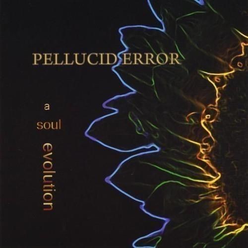 Audio Cd Nuovo - Pellucid Error - Soul Evolution -I- Diy Media Group | eBay