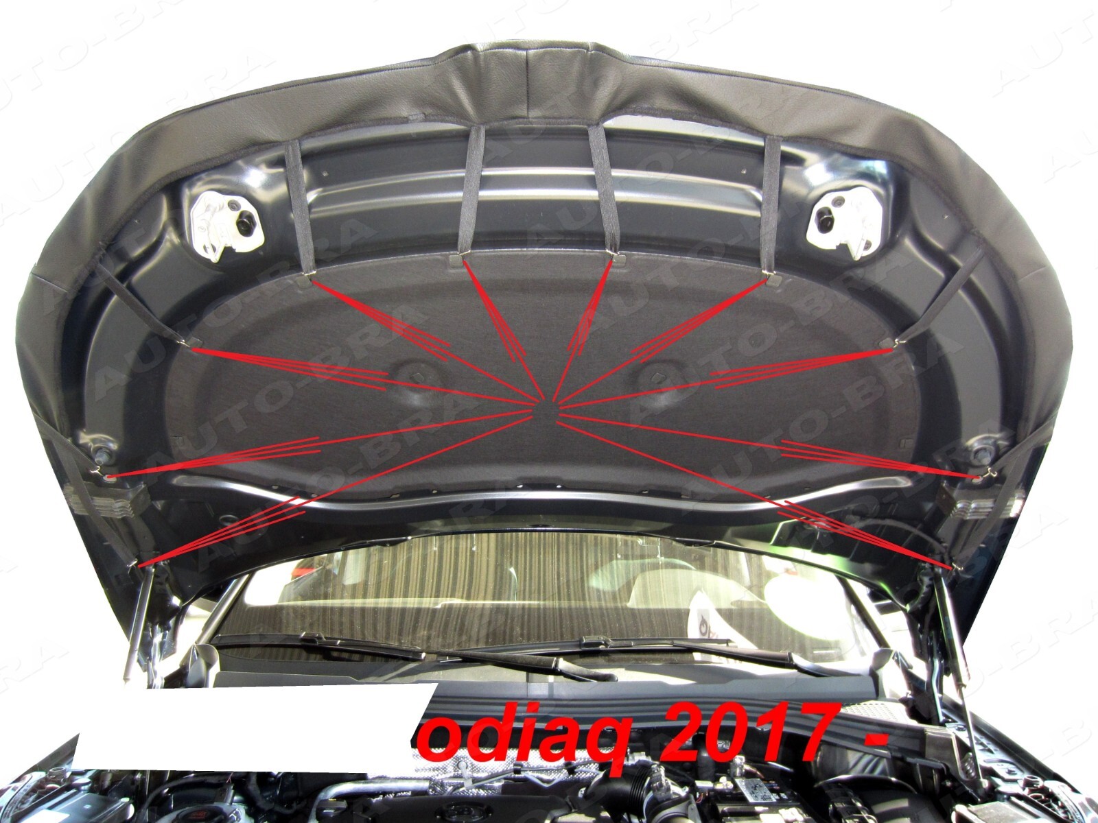 Carbon Bonnet BRA passend für Skoda Kodiaq 2017-2023 Steinschlagschutz ...