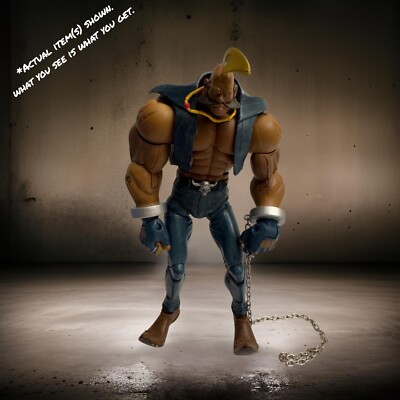 SOTA Toys Street Fighter Round 4 Birdie (blue) action figure Complete ...