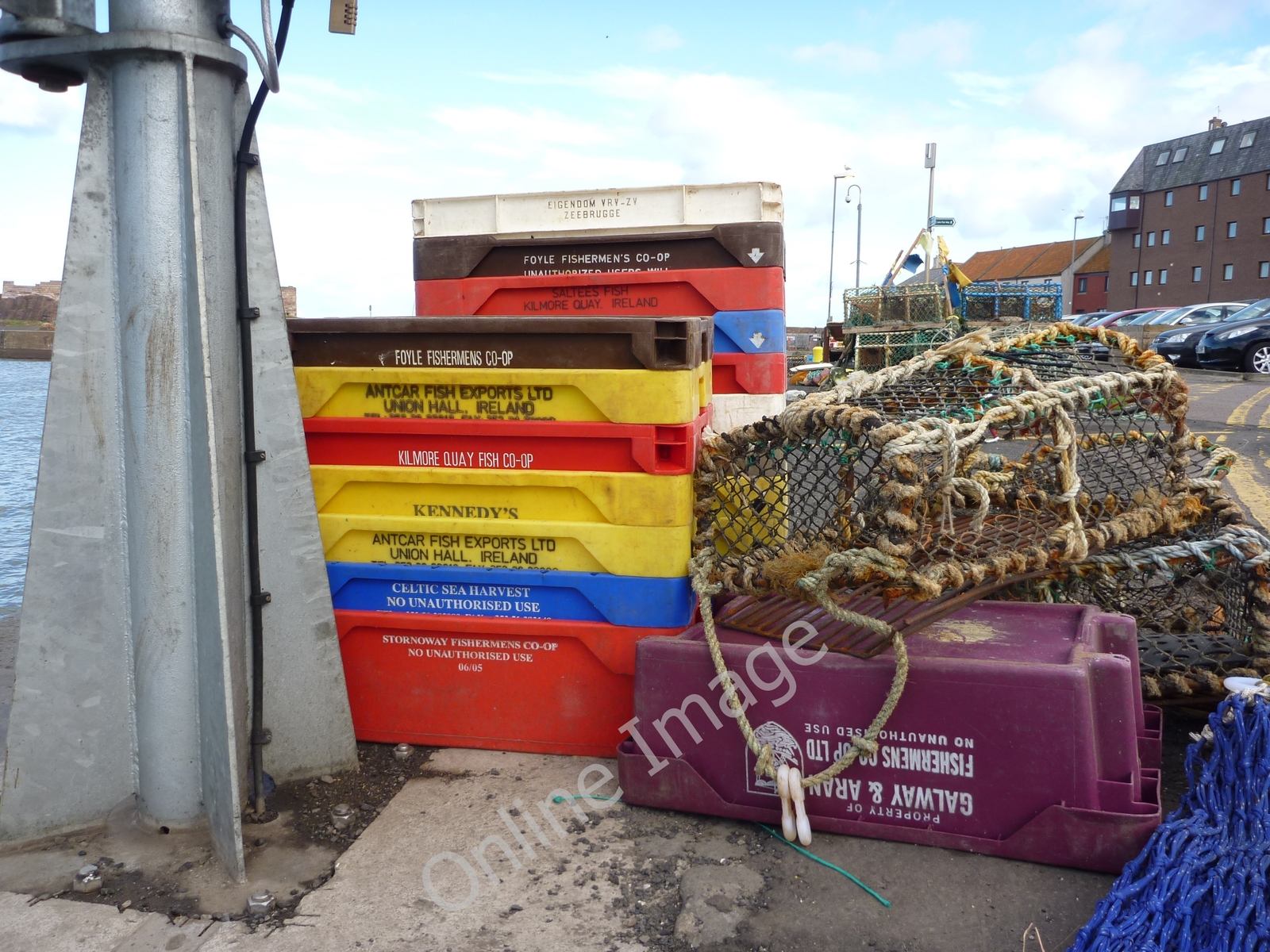 Photo 6x4 Fishbox Of The Week : Purple Galway and Aran Fishermens Co-op ...