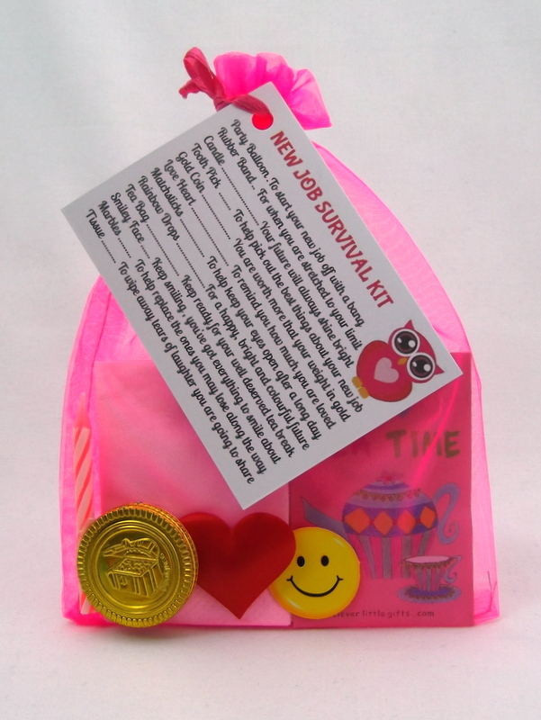 New Job Survival Kit : Gift For New Job, Career, Promotion Leaving ...