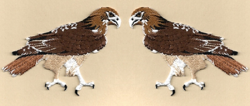 Hawk-Red Tailed - Bird - Fully Embroidered Iron On Applique Patch - Set ...
