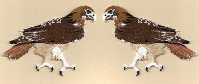 Hawk-Red Tailed - Bird - Fully Embroidered Iron On Applique Patch - Set ...