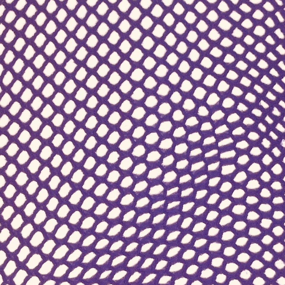 Sophia Fishnet Fashion Pantyhose Purple Fits 5’3” - 5’9”Ht & 165 ...