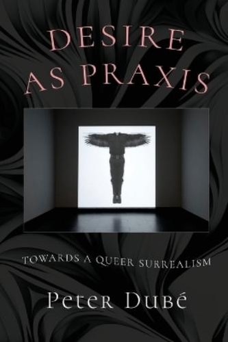 Peter Dubé Desire as Praxis (Tascabile) 9781608643547 | eBay