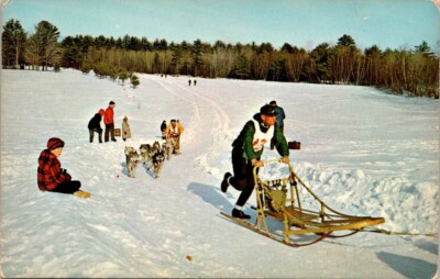 Postcard Championship Dog Sled Racing New Hampshire NH Unposted Chrome ...