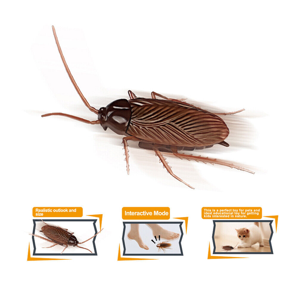 Remote Control Realistic Fake Cockroach Rc Toy Prank Insects Roach For ...