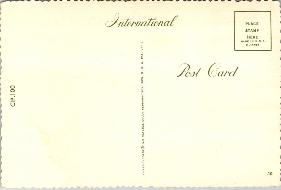 Hello From One Stinker Skunk Cartoon Linen Card Continental Postcard ...