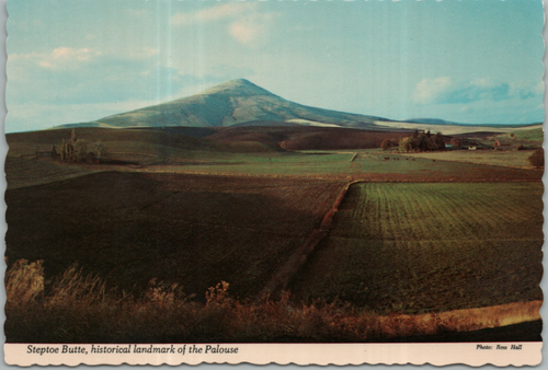 Vintage Postcard Steptoe Butte Palouse Colonel Steptoe | eBay