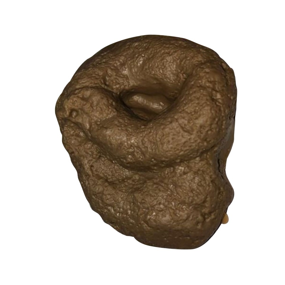 Fake Pooper Bathroom Prank Crap Turd Human Dog Poop Funny Joke Toilet ...
