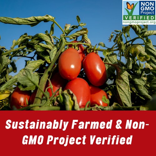 Double Concentrated Tomato Paste (Doppio Concentrato), 4.5 oz. Tube ...