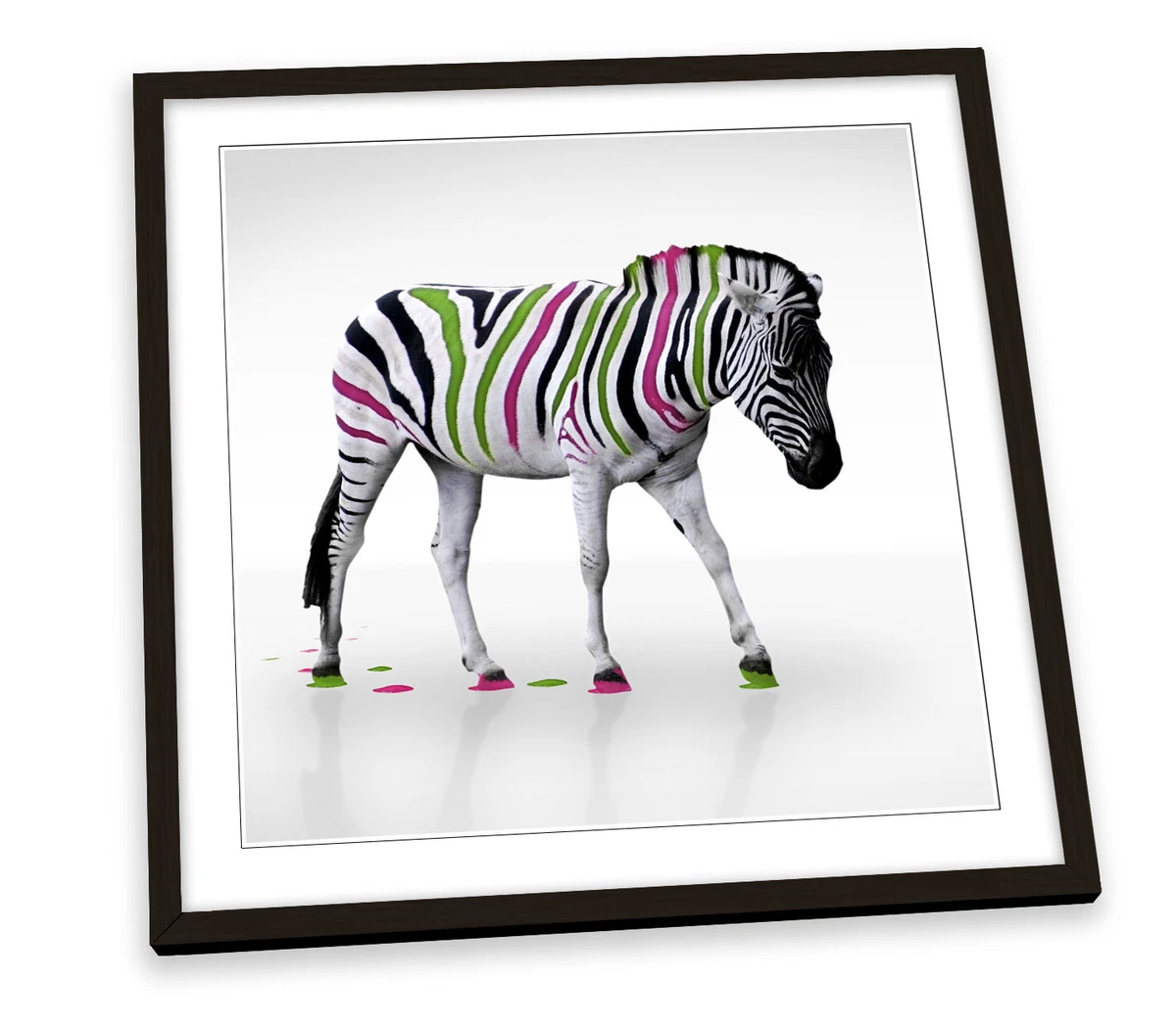 Multi Colored Zebra Print