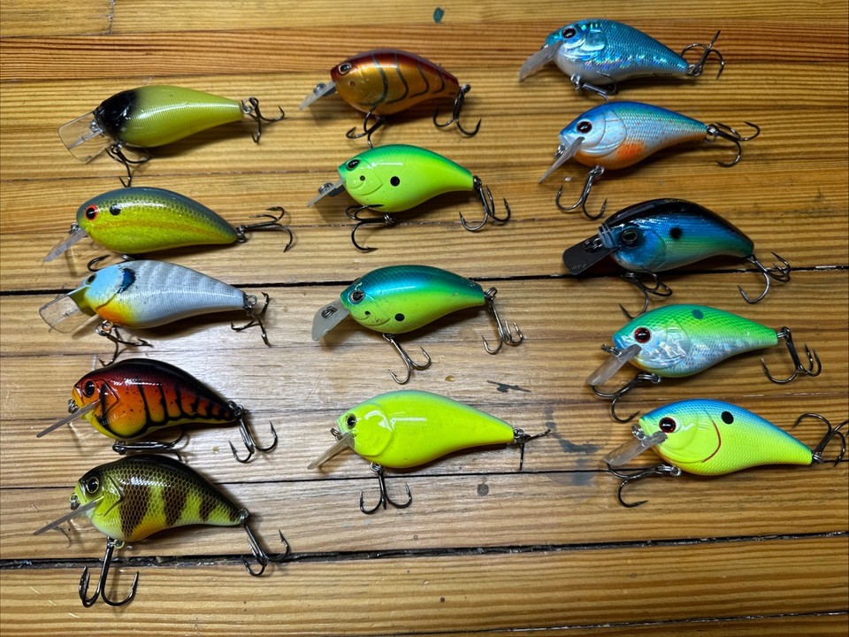 Bass Fishing square bill crankbaits lot 14 Lures + Box | eBay