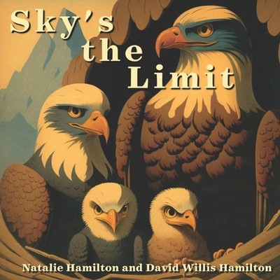 Sky's the Limit by David Willis Hamilton Paperback Book | eBay