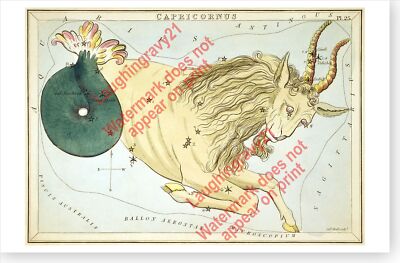 Capricornus Capricorn Astrology Sea Goat 1825 Antique Astronomy Poster ...
