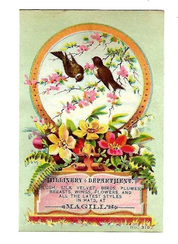 c1890's Trade Card Millinery Department, Magill'S, Silks, Hats, Birds ...