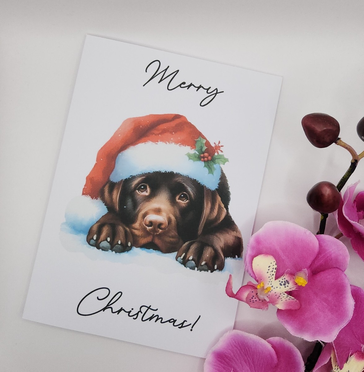 Labs Dog Christmas Cards