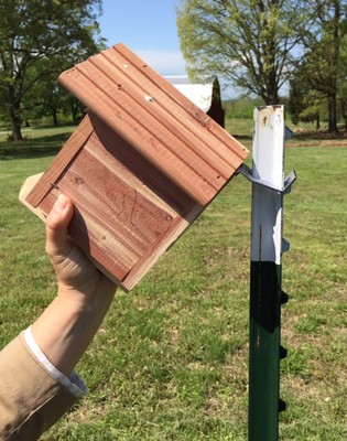 T Post Bracket 2" Vertical "10-Pack" Birdhouse mounting bracket and ...