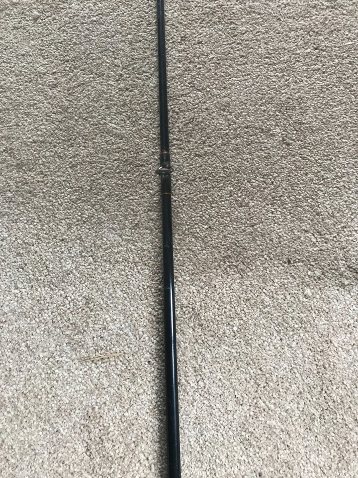 Zziplex NG1 Beachcaster Rod with Fuji fittings and cloth rod bag | eBay UK