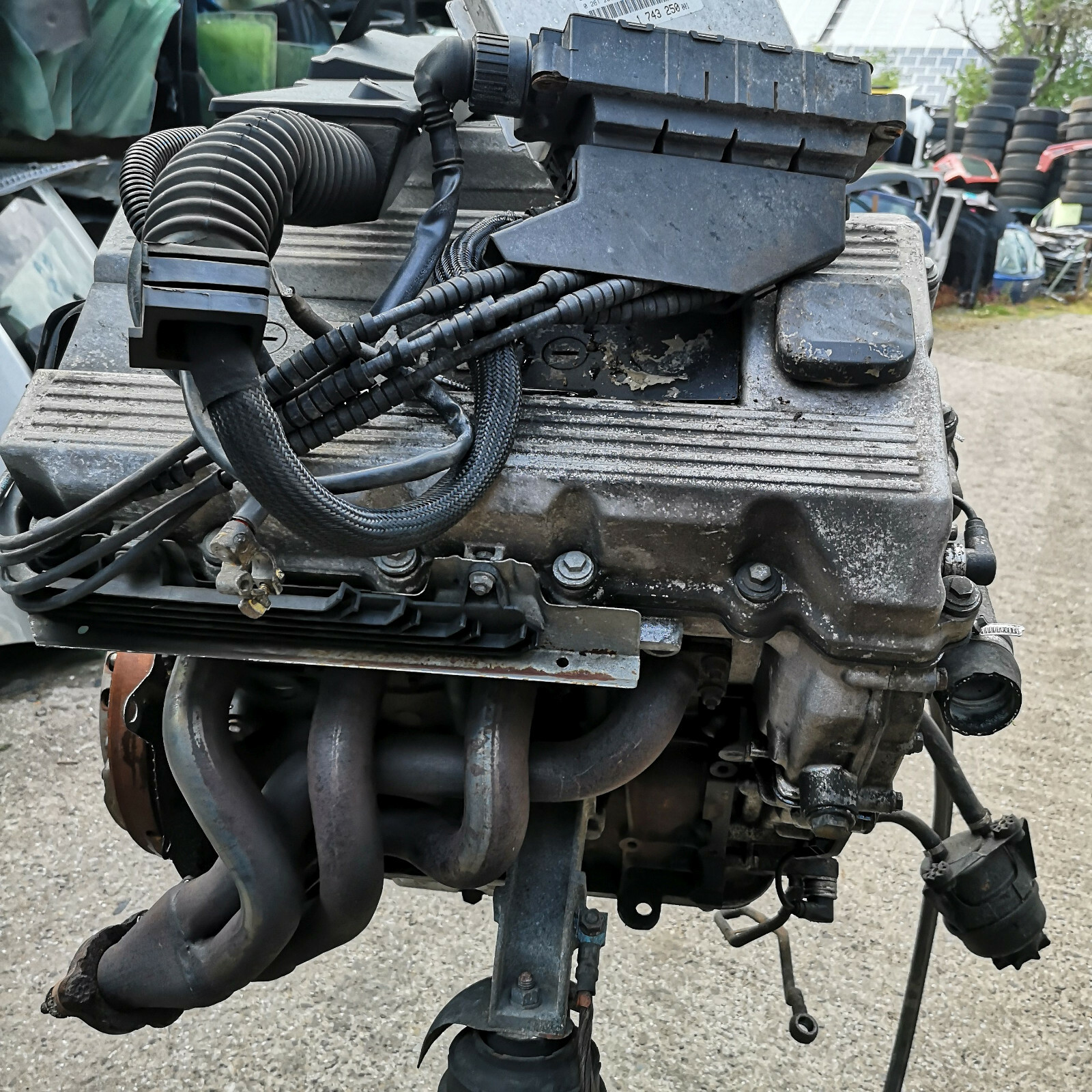 BMW 318ti Motor 318IS M42B18 184S1 318 IS | eBay