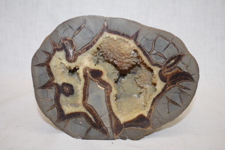 Septarian Concretion 7" Geode Brown Calcite on Gray Matrix 5.6 Pounds ...