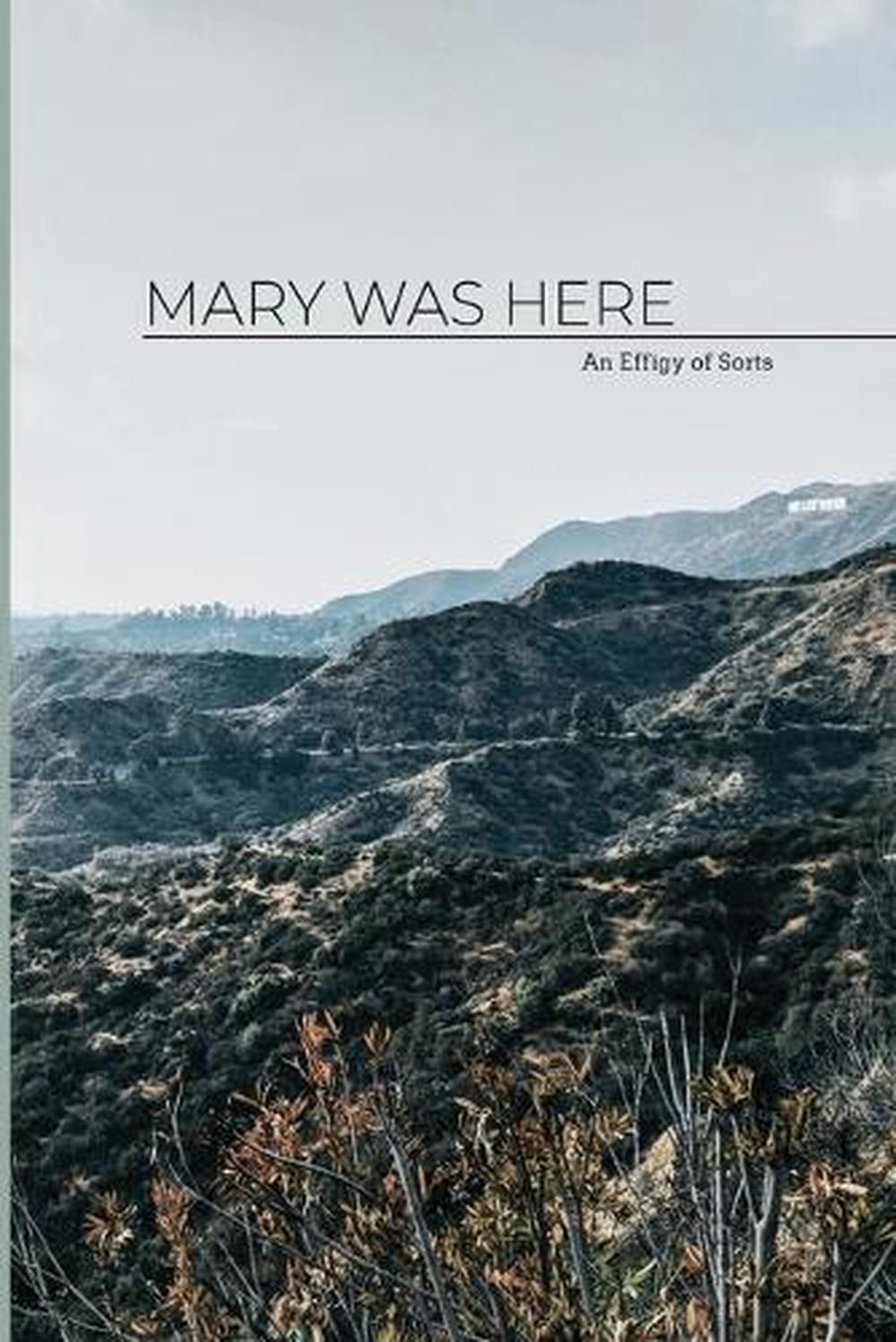 Mary Was Here: an effigy of sorts by Mary Simmerling Paperback Book | eBay