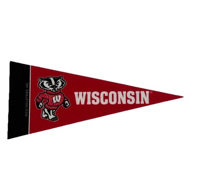 Wisconsin Badgers Mini Pennant, 4" x 9" Big Ten Big 10 Felt Flag ...