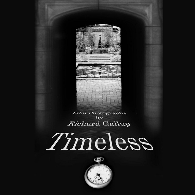 Timeless von Richard Gallup (2015, Taschenbuch) online kaufen | eBay.de