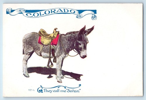 c1905 Mule Colorado They Call Me Satan Animals Embossed Antique ...