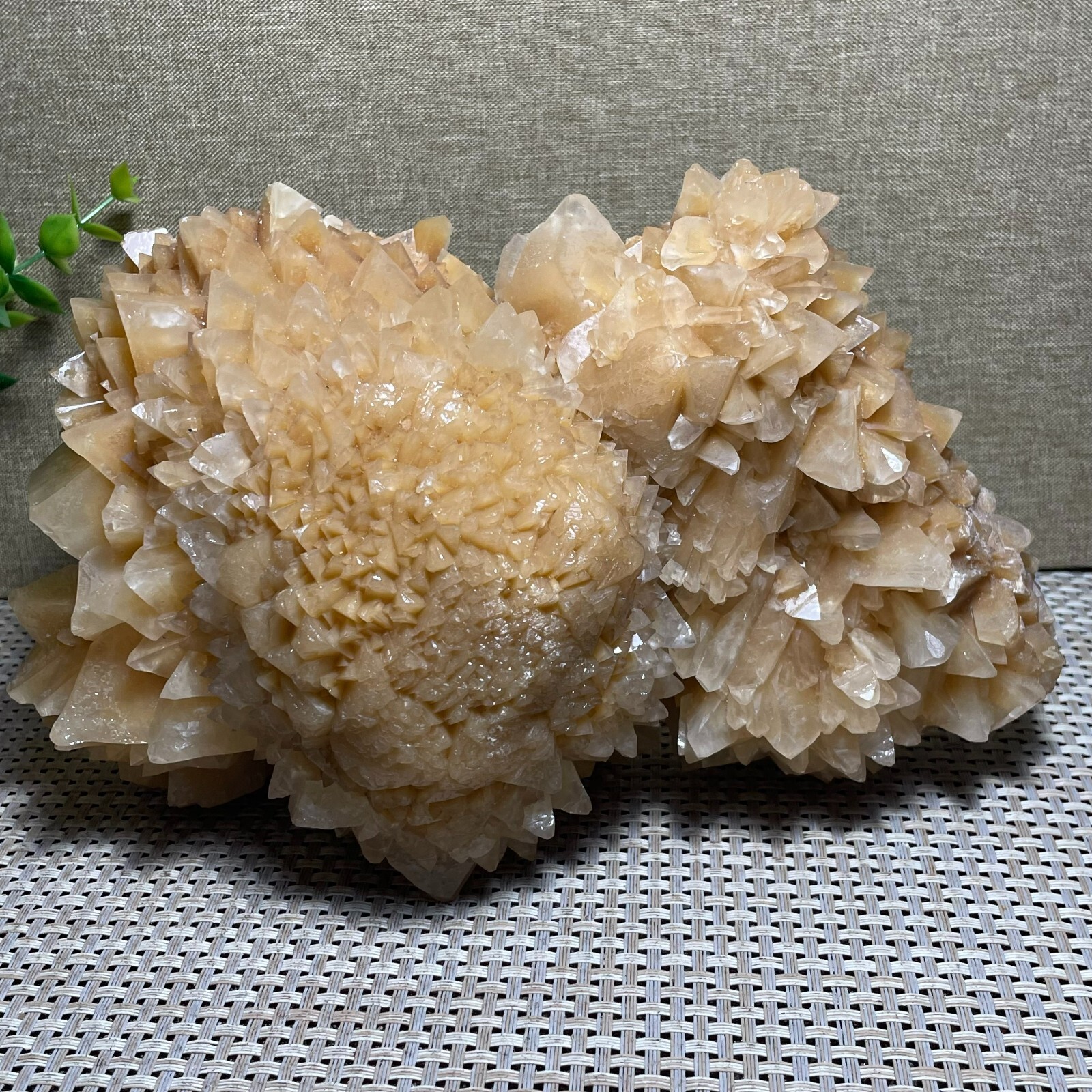 Amazing Dog tooth Calcite QUARTZ CLUSTER NATURAL MINERAL RAW ROCK ...