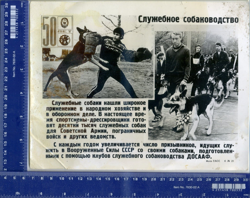 Vintage Photo USSR Art uniform Gun Communism War Military Training ...