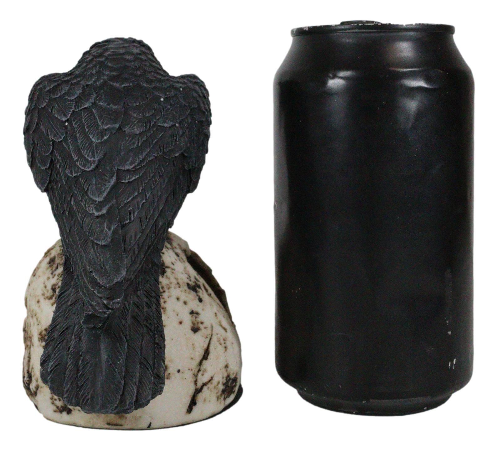 Foreboding Dark Crow Raven On Skull Statue 5"Tall Ossuary Scavenger ...