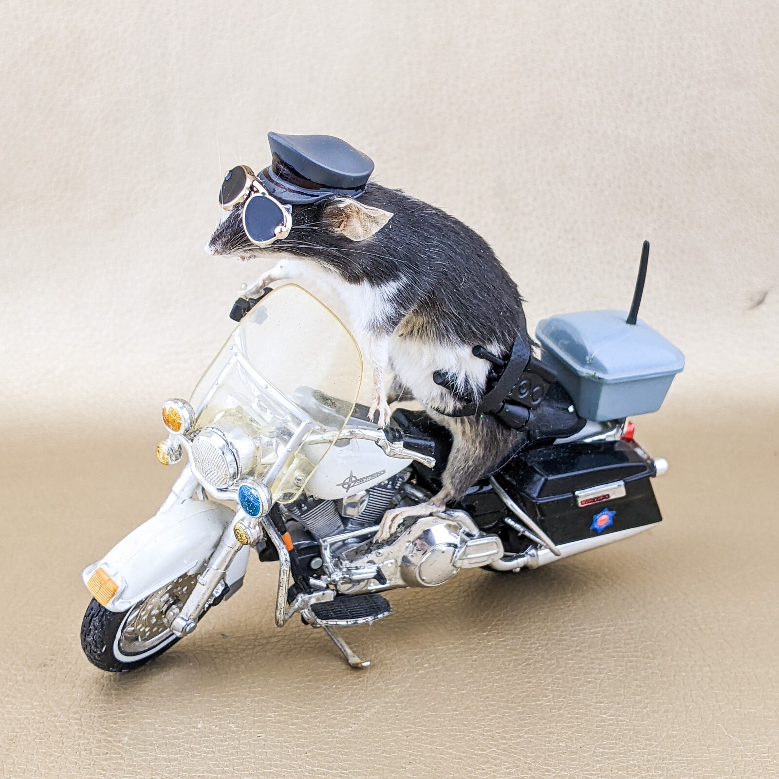 Motorcycle Police Mouse Cop Taxidermy Anthropomorphic Collectible ...
