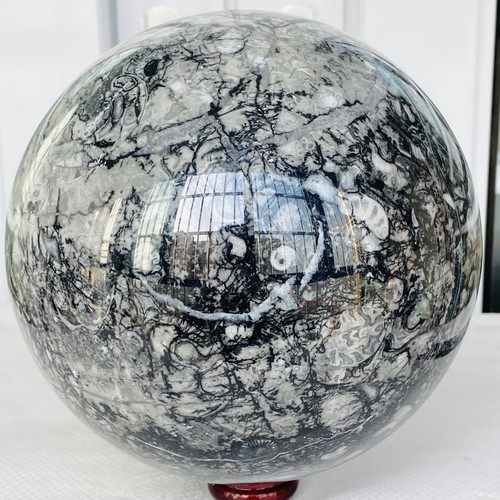 Natural Insectconch fossil crystal Ball Quartz Crystal Sphere Reiki ...