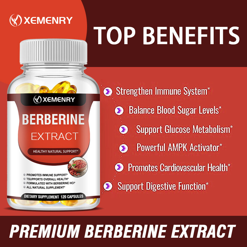 Berberine Extract 1800mg - Hohe Absorption, Unterstützt Die ...
