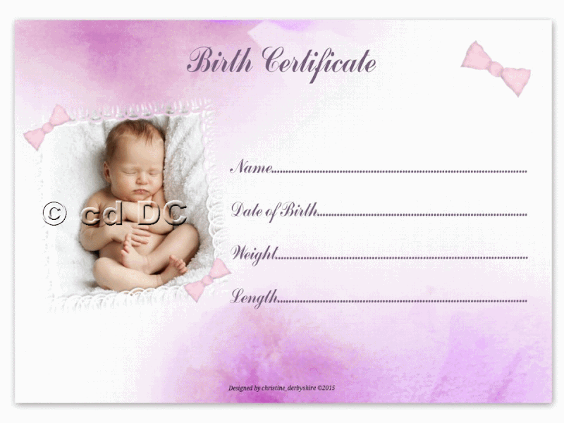 Baby Girl Birth Certificate Baby Girl Birth Certificate 14K Gold Charm