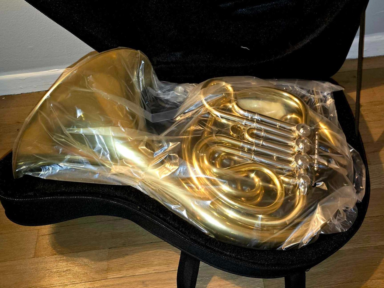 Stagg F/Bb Double French Horn with Soft Case LV-HR4525 NWOT Never Used ...