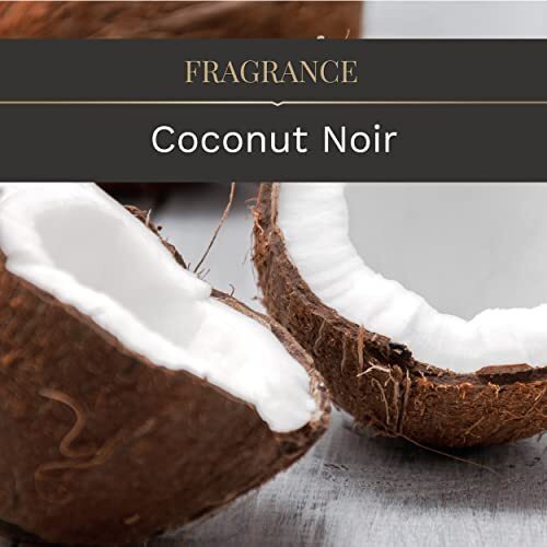 CLCo. by Candle-Lite Company Scented Candles Coconut Noir Fragrance One ...