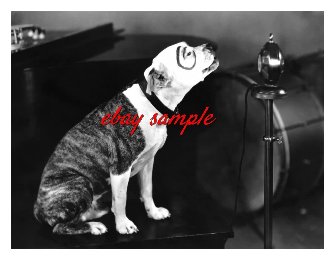 The Little Rascals Petey