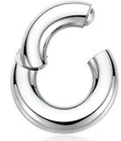 One 0g Segment Clicker Seamless Ring Surgical Steel 316L Prince Albert ...