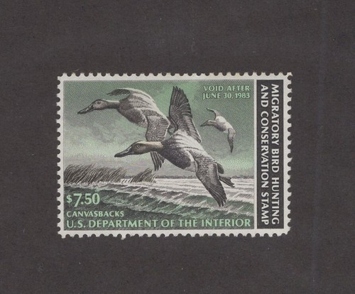RW49a - Federal Duck Stamp. Error Single. Very Rare. APEX Cert. MNH ...