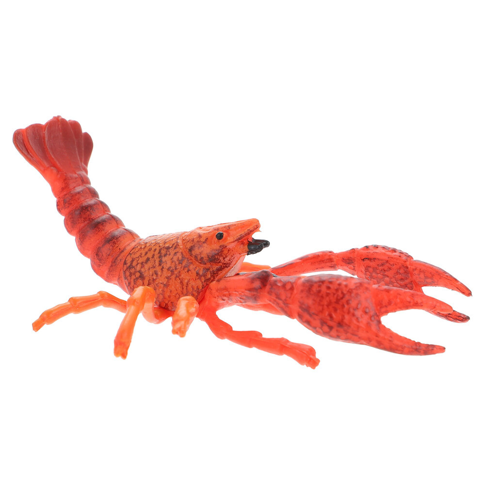 Homard Rouge Fête Du Homard Le Homard Bleu, Roi Des Fêtes Et Fierté