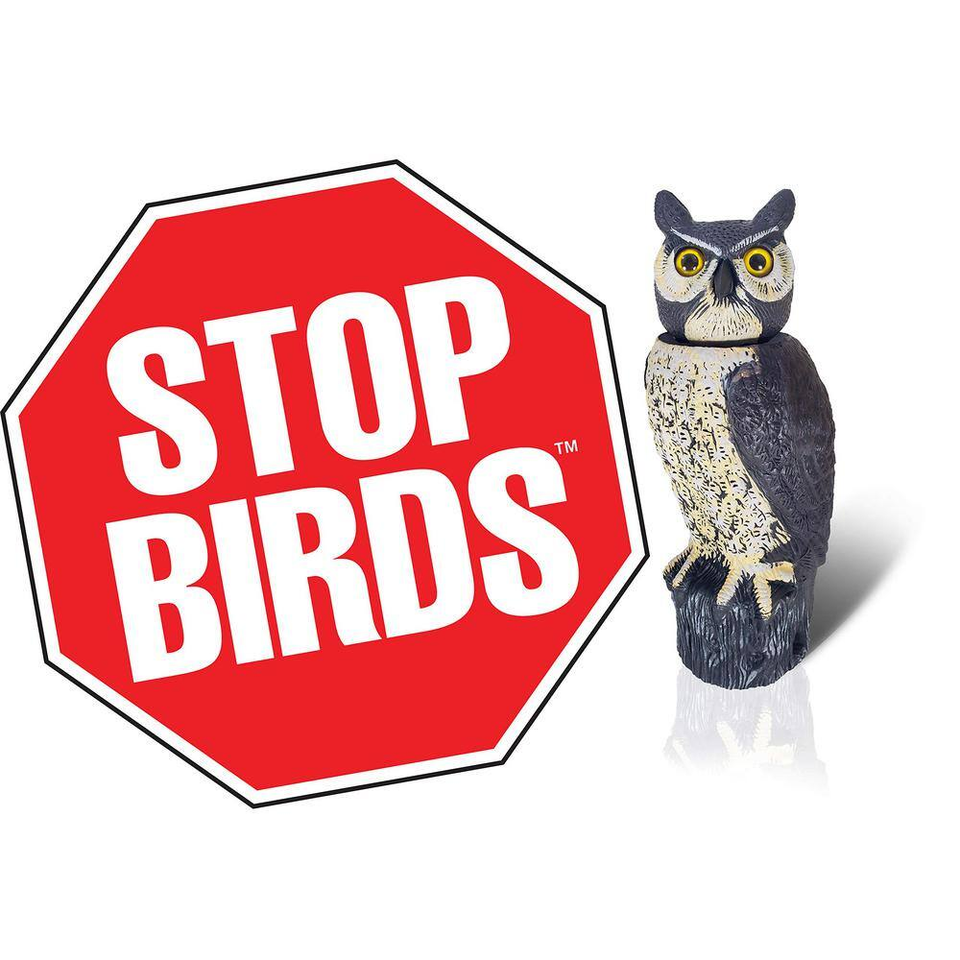 Outdoor Owl Realistic Scarecrow Solar Powered Head 18.5 In. H SOL-R ...