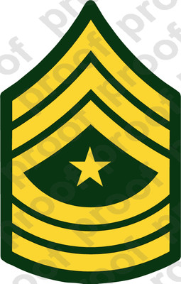 STICKER RANK US ARMY E9 SERGEANT MAJOR | eBay