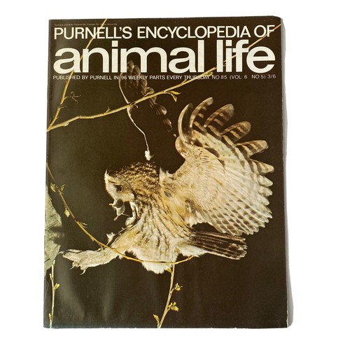 Purnell’s Encyclopedia Of Animal Life Magazine Volume 6 Number 5 | eBay