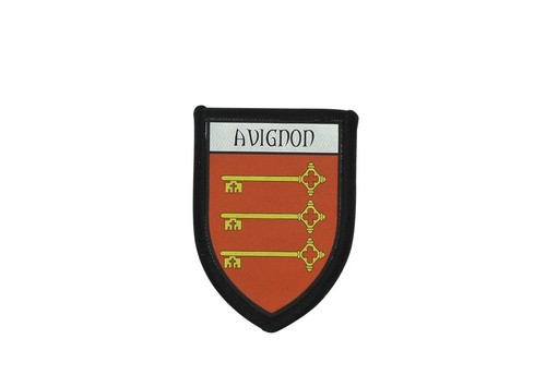 Patch printed embroidery travel souvenir shield crest city france flag ...