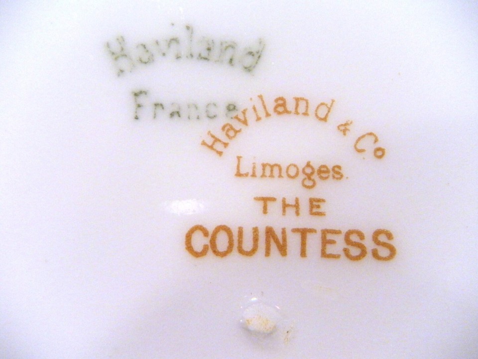 Rare Antique Haviland Limoges, France The Countess Schleiger #69 Fine ...