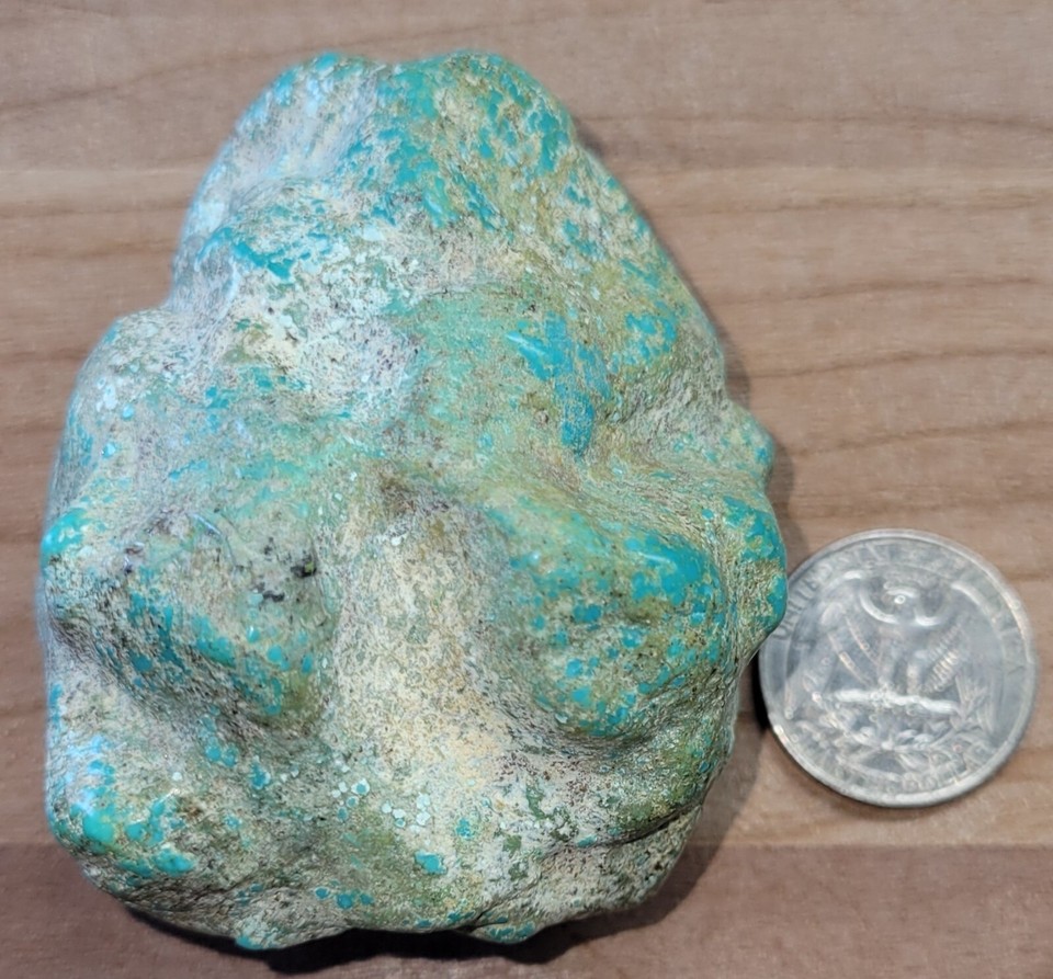 Rare Hard 192 gram Pilot Mtn. NV Big Turquoise Pseudomorph Clam ...
