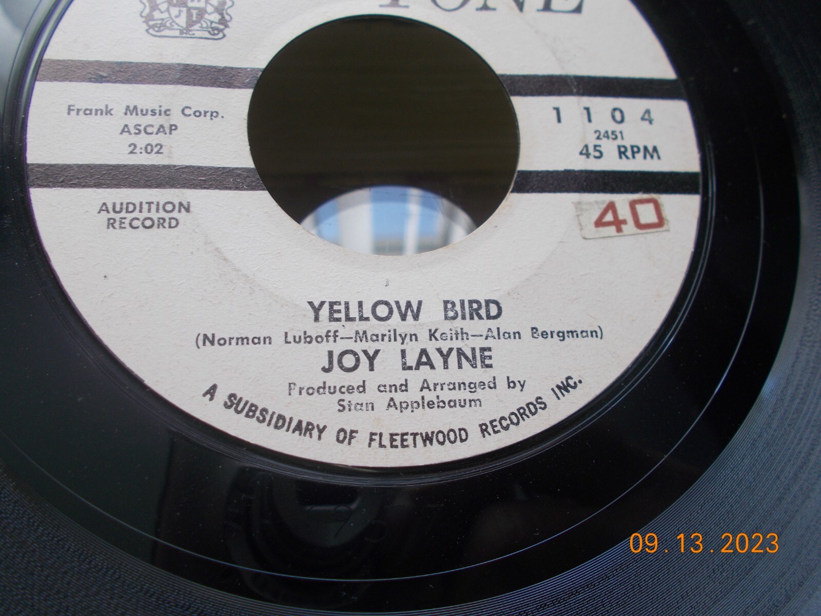 45 RPM PhilTone Joy Layne Audition Record Moments to Remember b/w ...