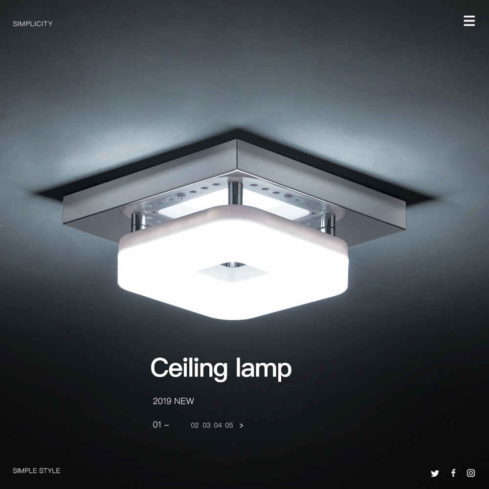 Ceiling Mounted Led Exterior Light Fixtures